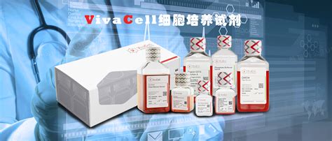 胎牛血清抗体elisa试剂盒细胞系荧光定量试剂等实验室耗材一站式服务甘肃兰州伟博鑫生物