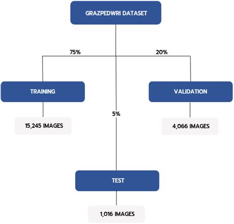 论文审查 Enhancing Wrist Fracture Detection With Yolo
