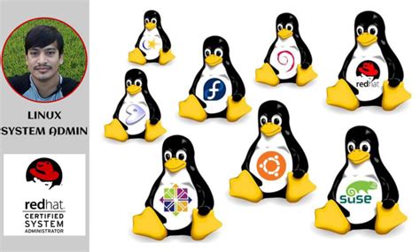 Fix Linux Server Issues By Jewelahmmed Fiverr