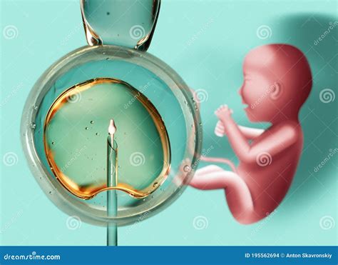 Concept Of Artificial Insemination Or Fertility Treatment Image Stock