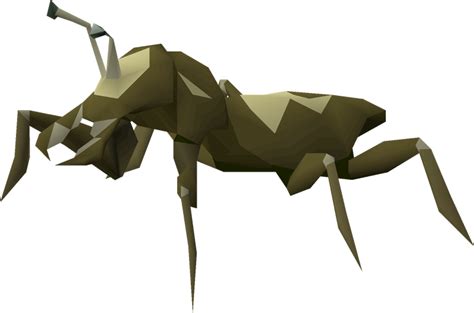 Filecave Bug 2007png The Runescape Wiki