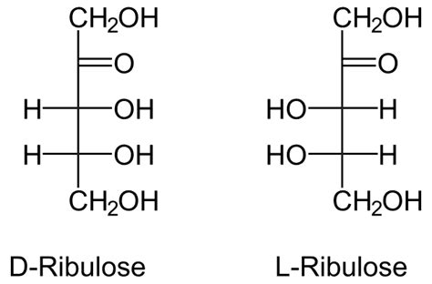 Ribulose Wikiwand