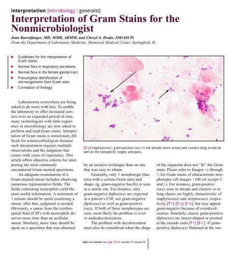 Interpretation Of Gram Stains For The Nonmicrobiologist