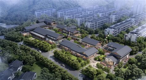 总投资约35亿元 株洲经开区打造国际宜居宜业宜养宜乐的山水小镇 中国网
