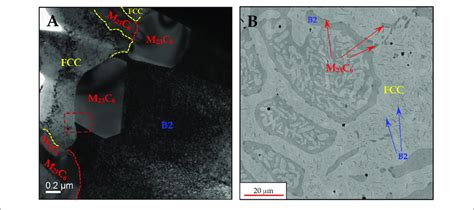 A Bf Tem Micrographs Showing The General Morphology Of The Phases Download Scientific