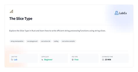 The Slice Type Labex