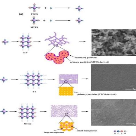 Sem Micrographs Of Silica Aerogels Reproduced With Permission 64 Download Scientific