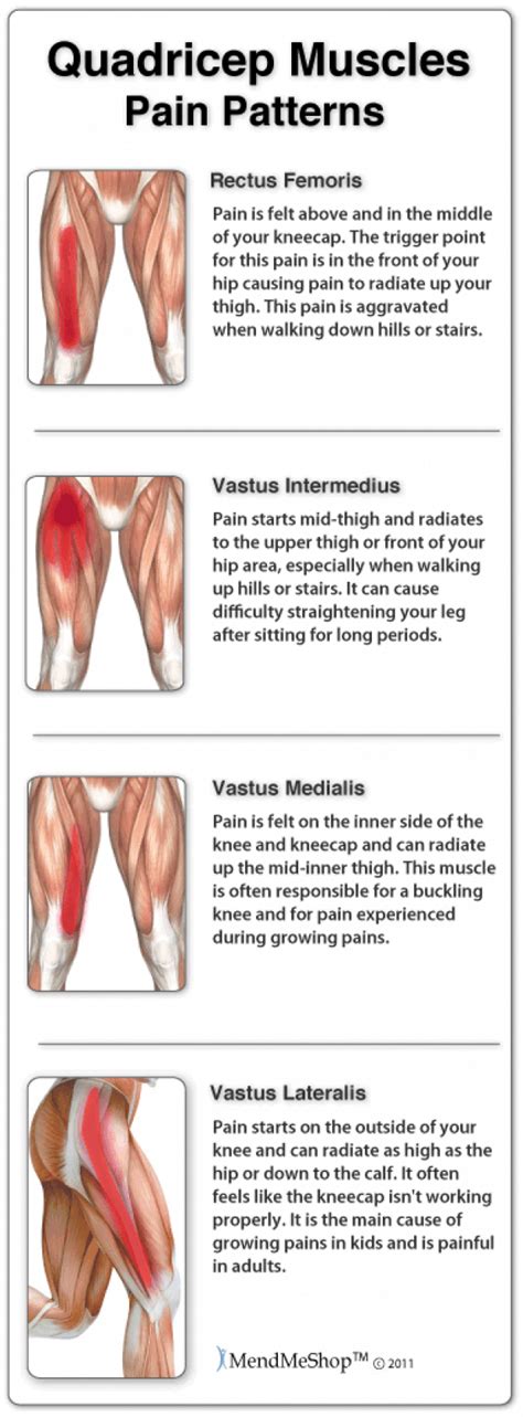 Pin On Psoas Release