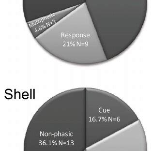 Composite Pie Charts Showing The Number And Percentage Of NAc Neurons