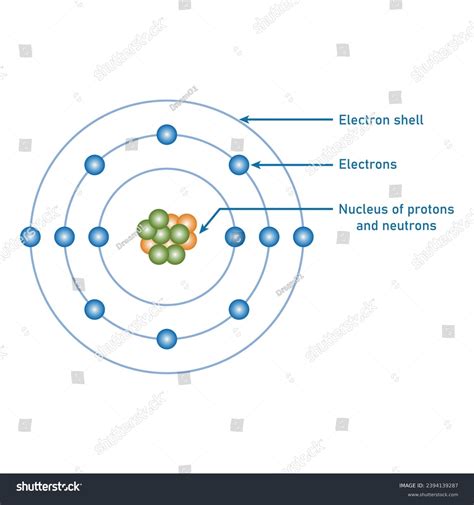 atom structure model diagram bohr atomic stock vector royalty free