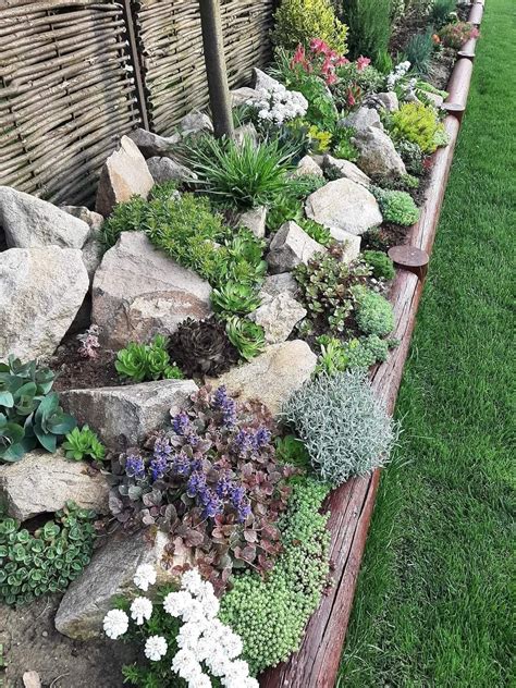 Best 13 10 Heat Loving Ground Cover Plants That Thrive In Full Sun Artofit