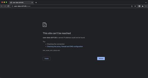 Doesnt Work With Chrome Option User Data Dir · Issue 1150