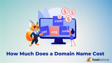 How Much Does A Domain Name Cost How To Lower The Price How Much Does A Domain Name Cost How To Lower The Price