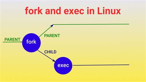 Fork And Exec System Calls In Linux Softprayog