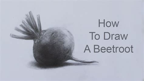 How To Draw A Beetroot Step By Step Pencil Sketch