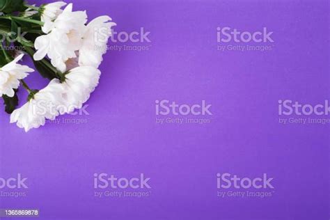 매우 페리 배경에 흰색 꽃 공간을 복사합니다 상단 뷰 플랫 레이 프레임 0명에 대한 스톡 사진 및 기타 이미지 0명 꽃 나무 꽃 식물 Istock