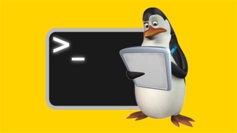 Terminal Shell Console Hacker Web Security