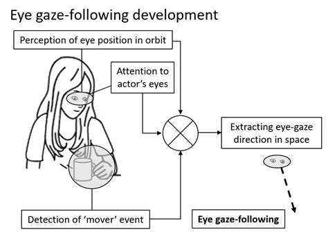 Gaze Perception And Social Intelligence Daniel Harari