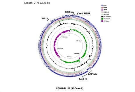 Comparative Genomic Analysis Of Three Staphylococcus Lugdunensis Download Scientific Diagram