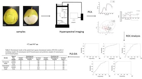 Applied Sciences Free Full Text Wavelength Selection For Detection Of Slight Bruises On