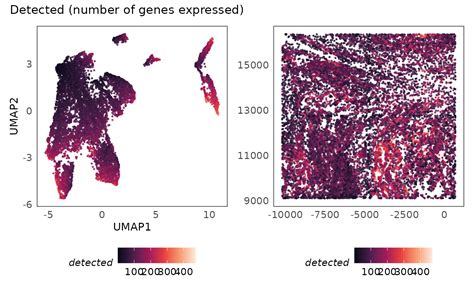 Part I Introduction To Imaging Based Spatial Transcriptomics Analysis Bruker Cosmx Nsclc