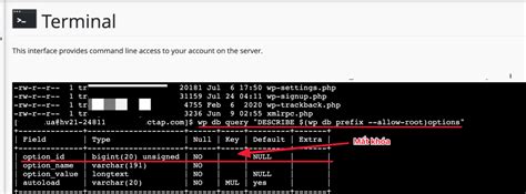Fix Database Table Missing Primary Key Error On Wordpress With 2 Steps