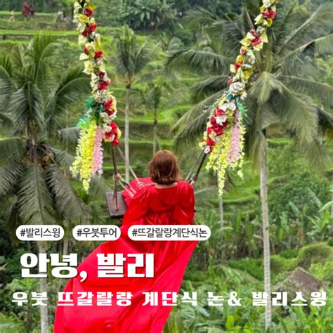 발리 우붓 뜨갈랄랑 계단식 논 입장료 발리스윙 가격 네이버 블로그