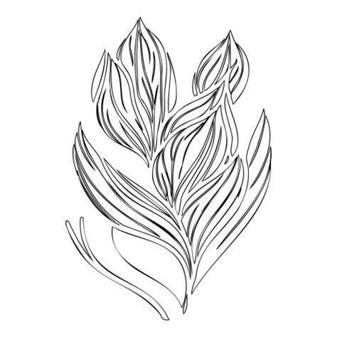 Tulip Flower Outline Sketch Royalty Free Vector Image