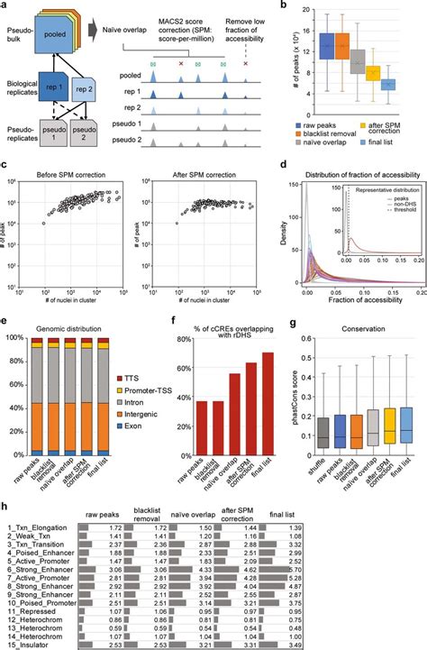 statistics of peak calling from snatac seq data from each cell type a