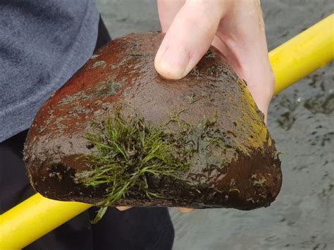 Threadfoot From Alexandria Nj Usa On August 30 2024 At 1026 Am By Evan Hunt Photo By Nick