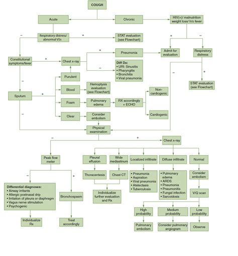 Emergency Nursing Blog Respiratory Related Algorithms