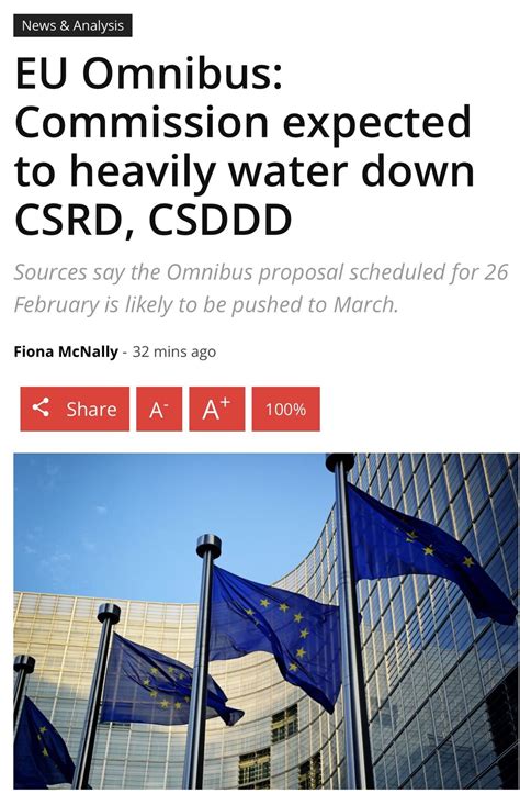 Csrd Csddd Omnibus Andreas Rasche 110 Comments