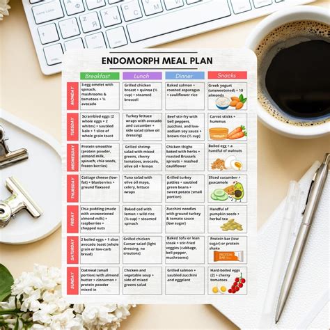 Endomorph Meal Plan Pdf 7 Day Macro Based Food Schedule Calorie