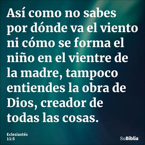 Eclesiastés 11 5 Biblia