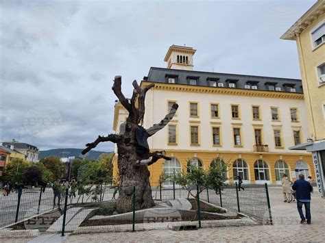 Сливен ще бъде домакин на обучение за разпознаване на домашното насилие Утро