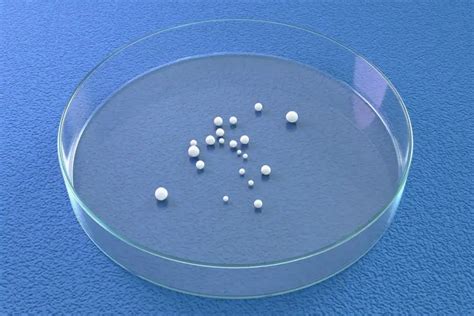 Brainoware Human Brain Cell ‘mini Brains Show Basic Speech Recognition In Ai Experiment