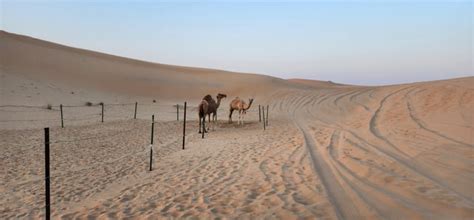 Postprocessing Rpostprocessing