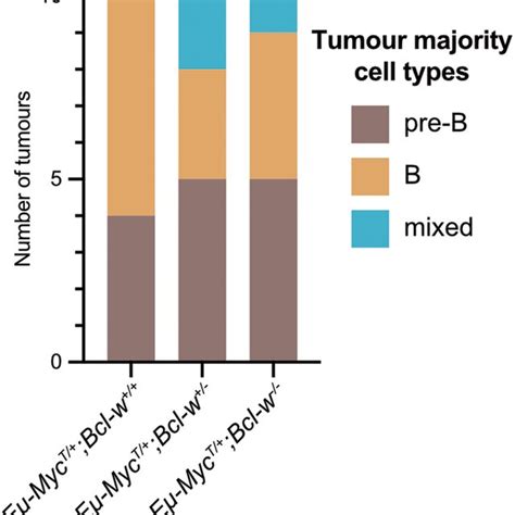 Absence Of Bcl W Has No Obvious Impact On The Immunophenotype Of Download Scientific Diagram