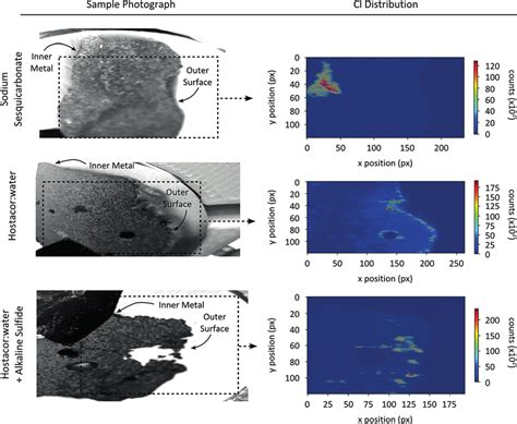 Xrf Elemental Maps Of The Chlorine Distribution In Cut Cross Sections