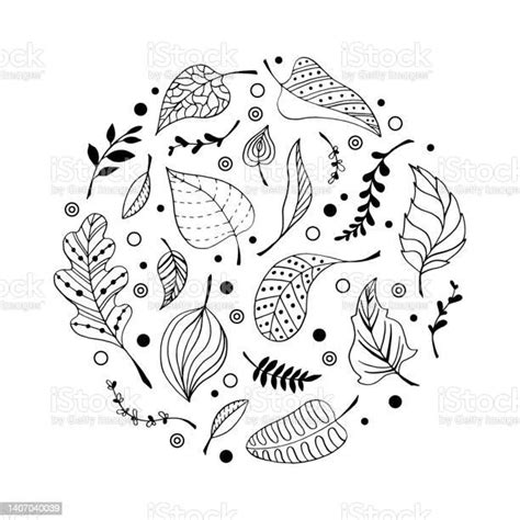 원형의 화려한 장식 잎 컬렉션 디자인을위한 낙서 스타일로 양식화 된 나뭇잎 손으로 그린 장식 요소 고립 된 흰색 배경에 그려진 검은 선 단풍 세트 벡터 일러스트 레이 션