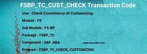 FSBP TC CUST CHECK SAP Tcode For Check Consistency Of Customizing