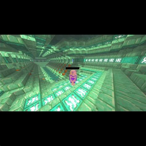 Prismarine Stash Donut Smp Other Game Item Gameflip