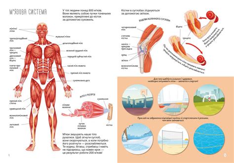 Книжка з наліпками Тіло людини Укр Кристал Бук 9786175470466 473104