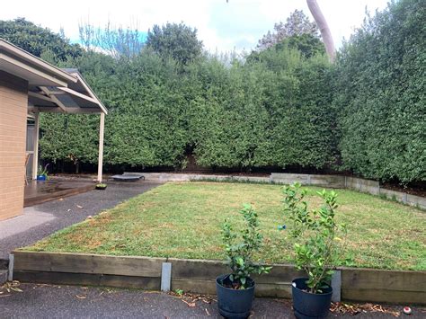 hedging gardenworx