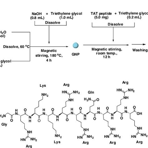 A One Pot Synthesis Of Tat Gnp B Tat Peptide Structure Nh