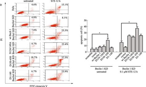 The Effect Of Wild Type Beclin 1 And Its Mutants Or Truncations On