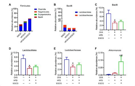 Different Abundances Of Gut Microbiota In The Firmicutes And