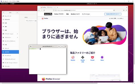 Ubuntuへリモートデスクトップ接続 ペコネット