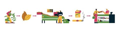 Cigarette Manufacturing Over 431 Royalty Free Licensable Stock Vectors