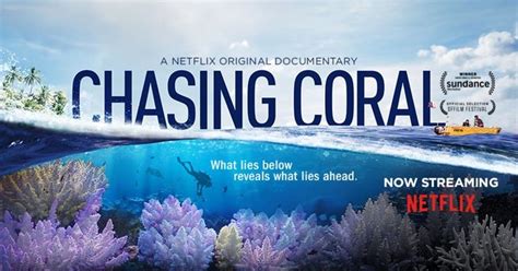 Scuba Divers Will Love These Ocean Documentaries Streaming On Netflix